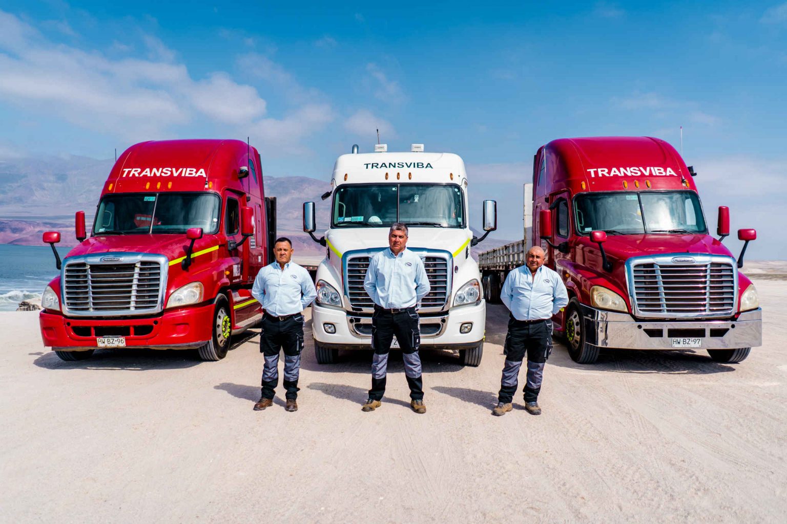 Transviba – Página web